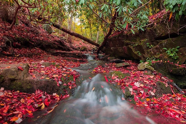 Trimpi Shelter | Tony's Hiking Adventure