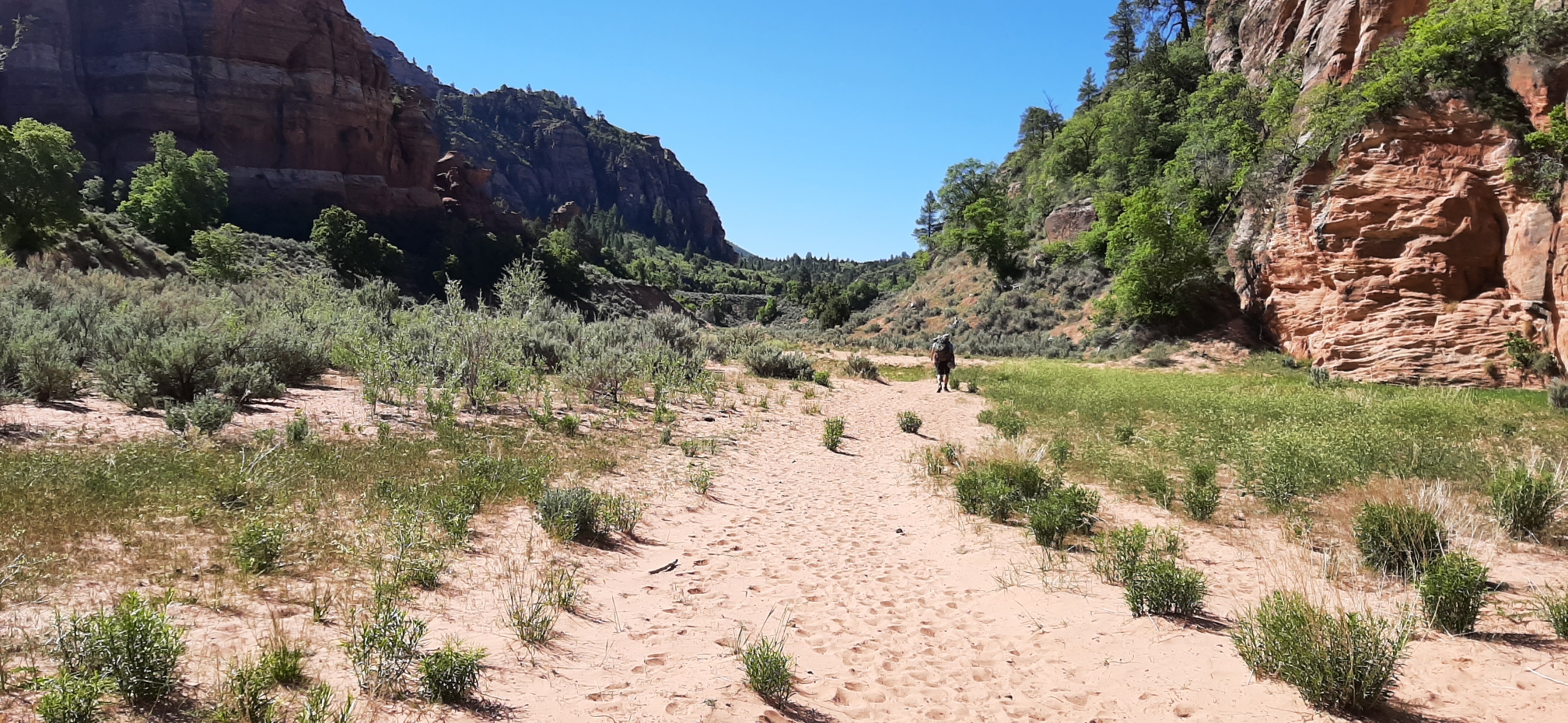 Day 2 to Wildcat Spring | Tony's Hiking Adventure