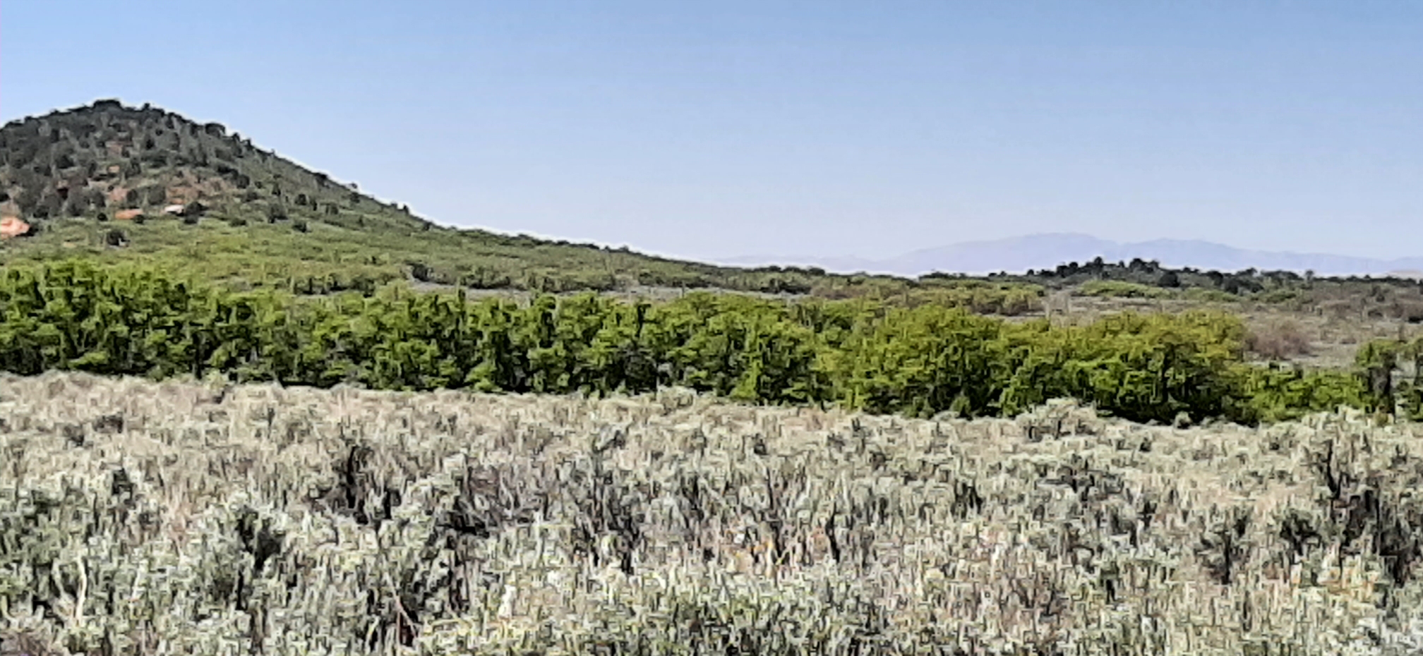 Day 2 to Wildcat Spring | Tony's Hiking Adventure